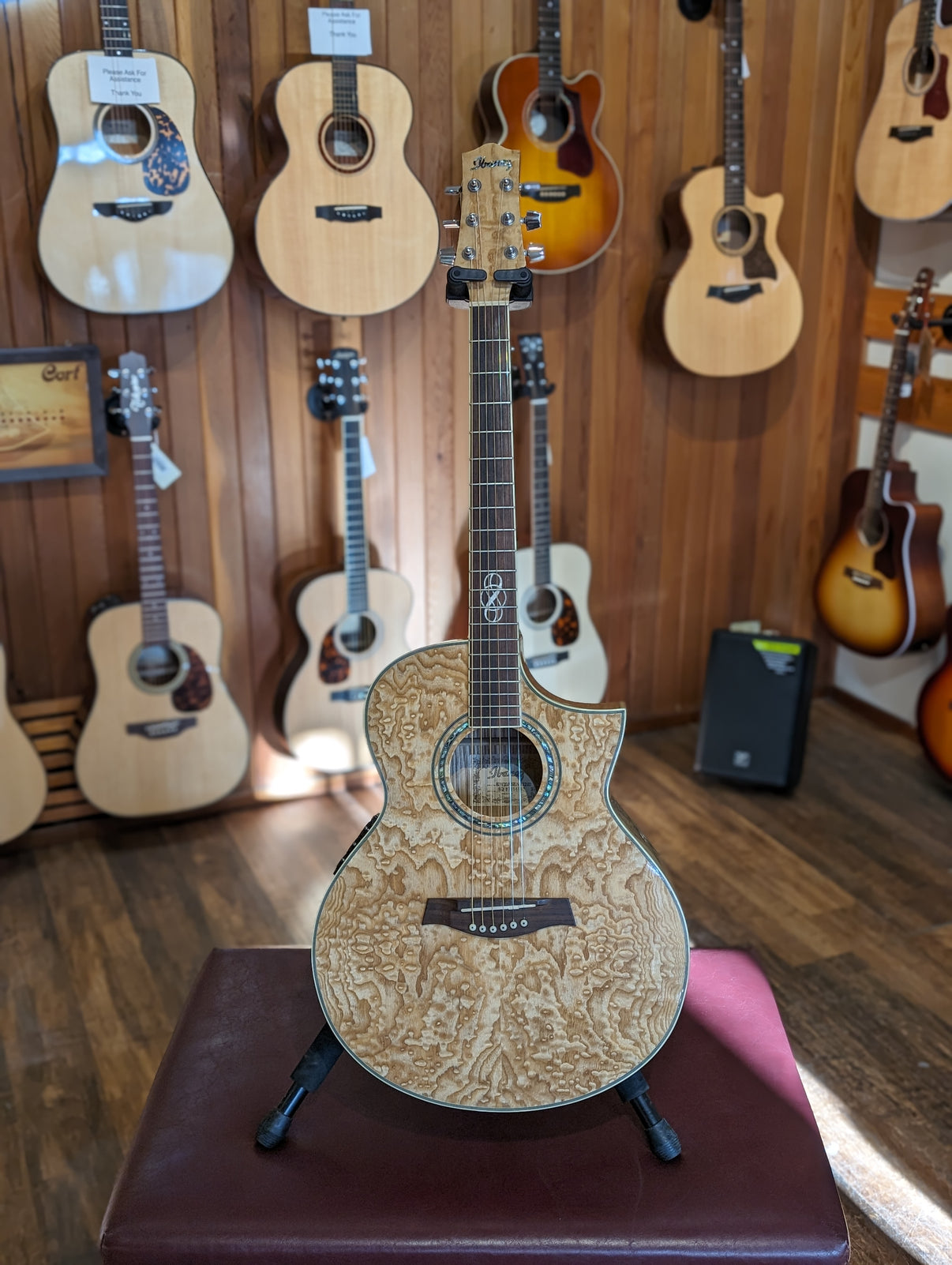 Ibanez EW20ASE Acoustic/Electric Guitar w/Case (2007) – Acoustic Music Shop