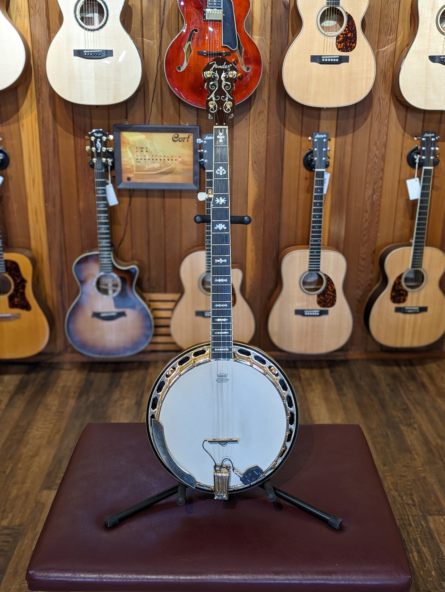 Fender FB-59 5-String Electric/Acoustic Banjo w/Case (2007) – Acoustic ...