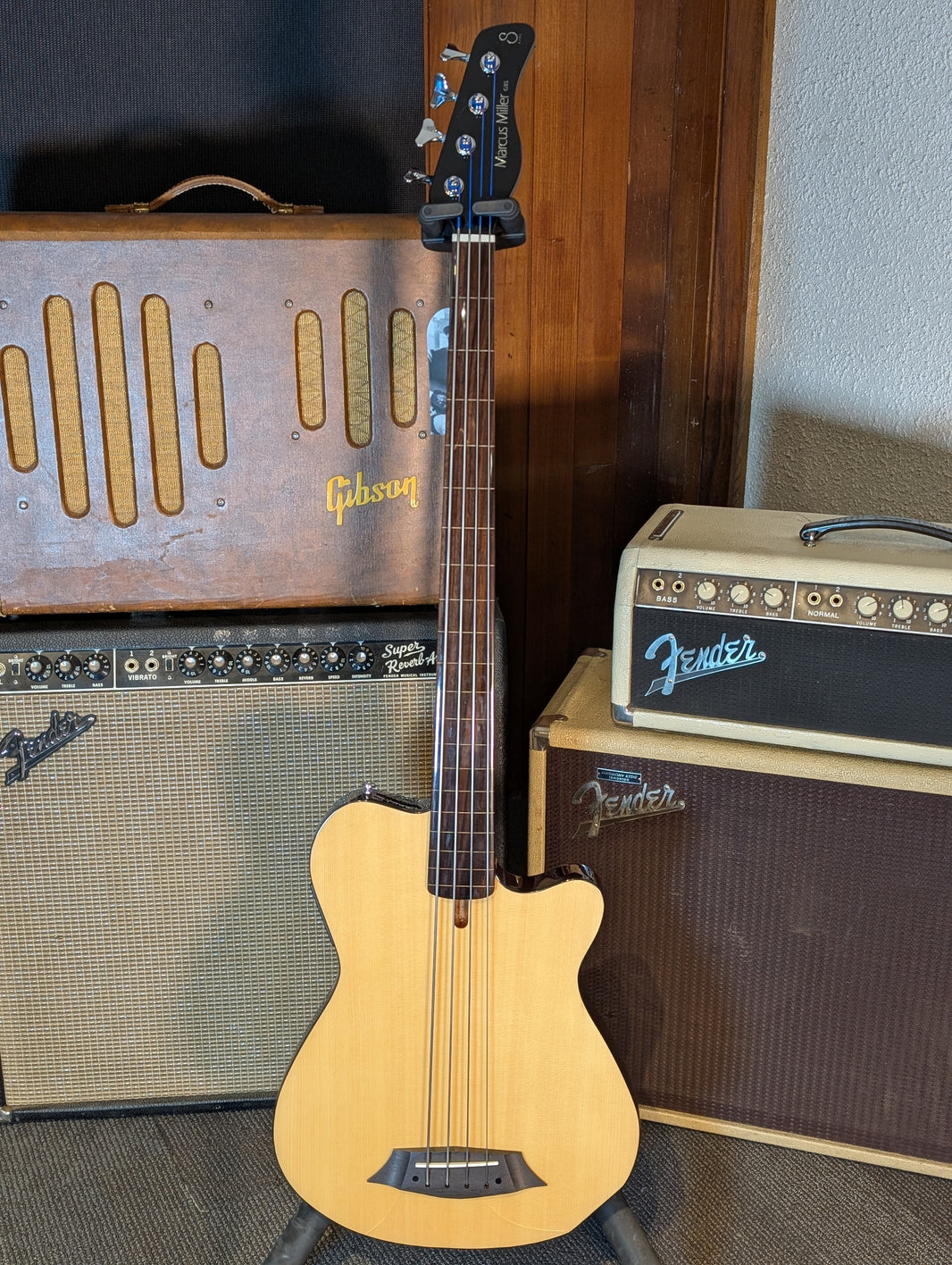 Bass Guitars – Acoustic Music Shop