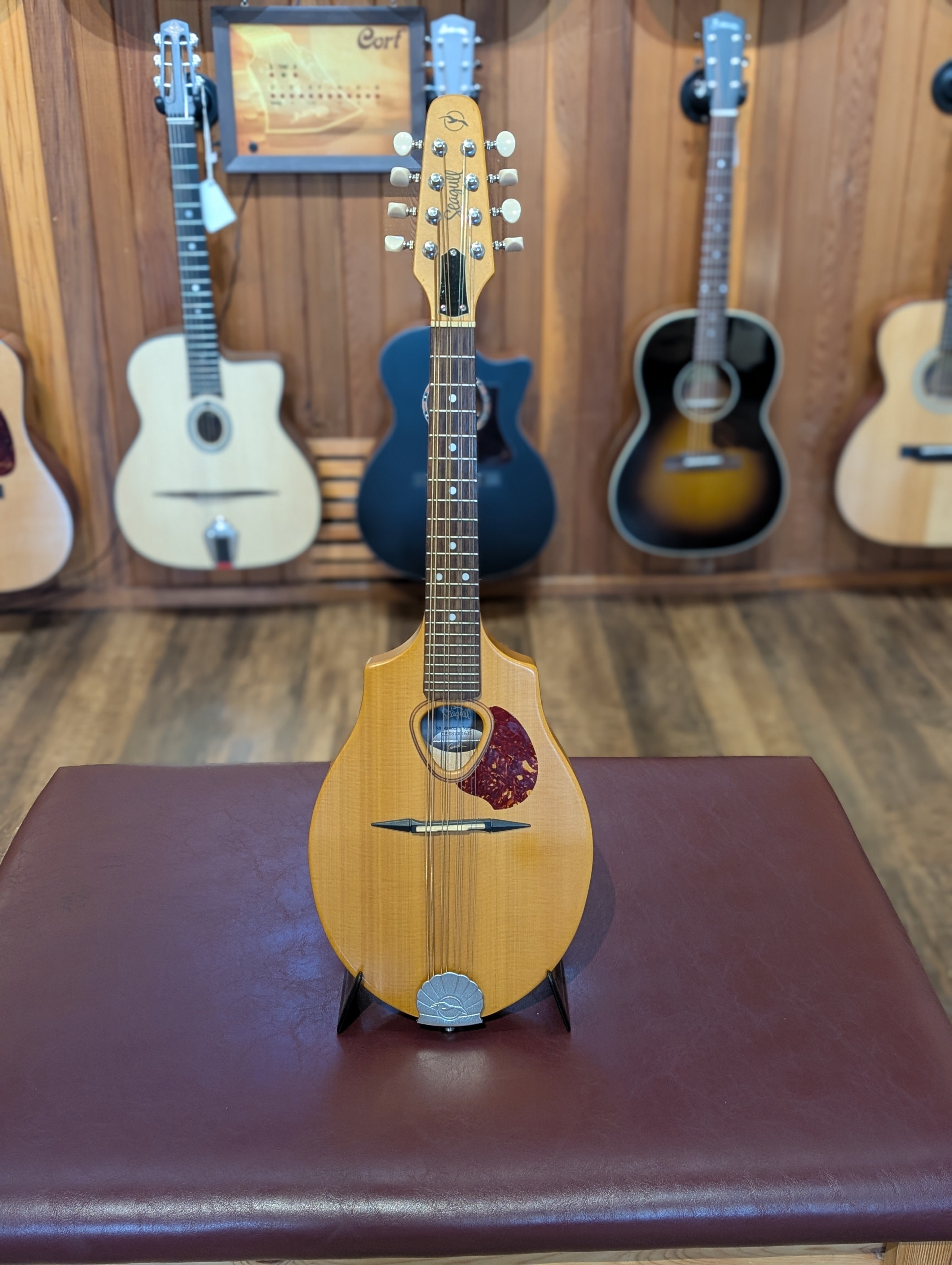 Seagull S8 Mandolin w/Case - Natural (Used) – Acoustic Music Shop