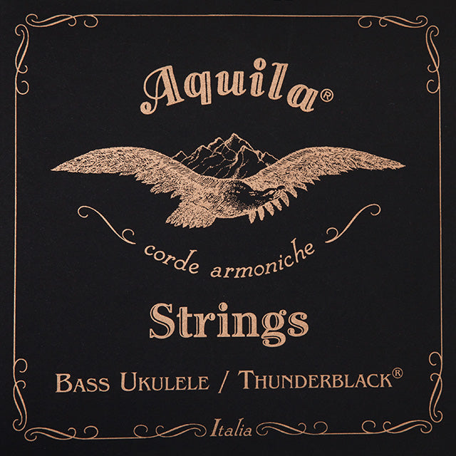 Strings – Acoustic Music Shop