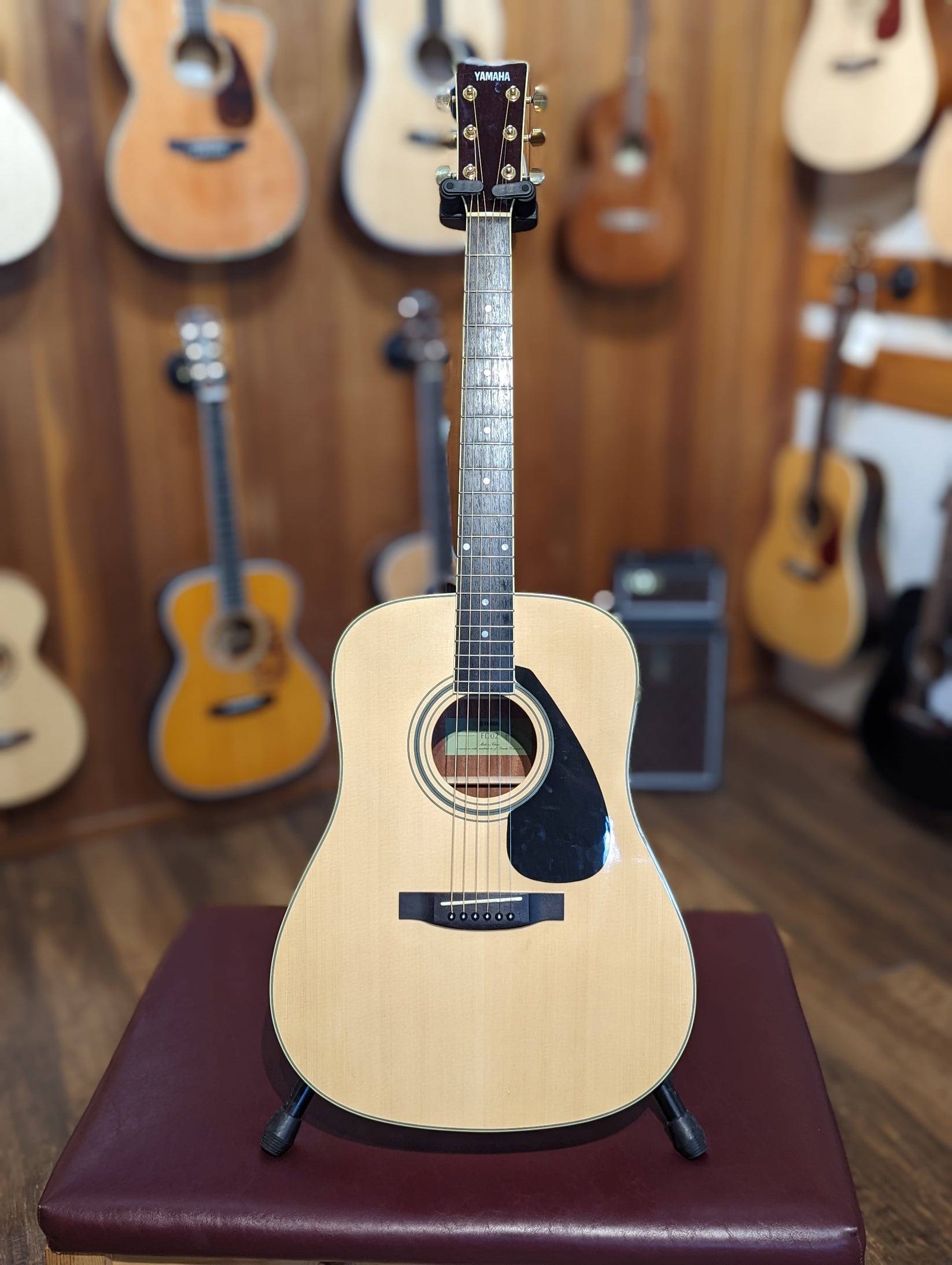 Yamaha FD02 Dreadnought Acoustic Guitar (Used) – Acoustic Music Shop